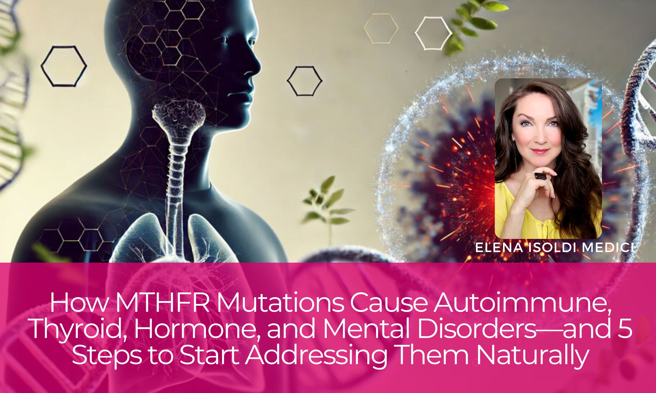 How MTHFR Mutations Cause Autoimmune, Thyroid, Hormone, and Mental ...